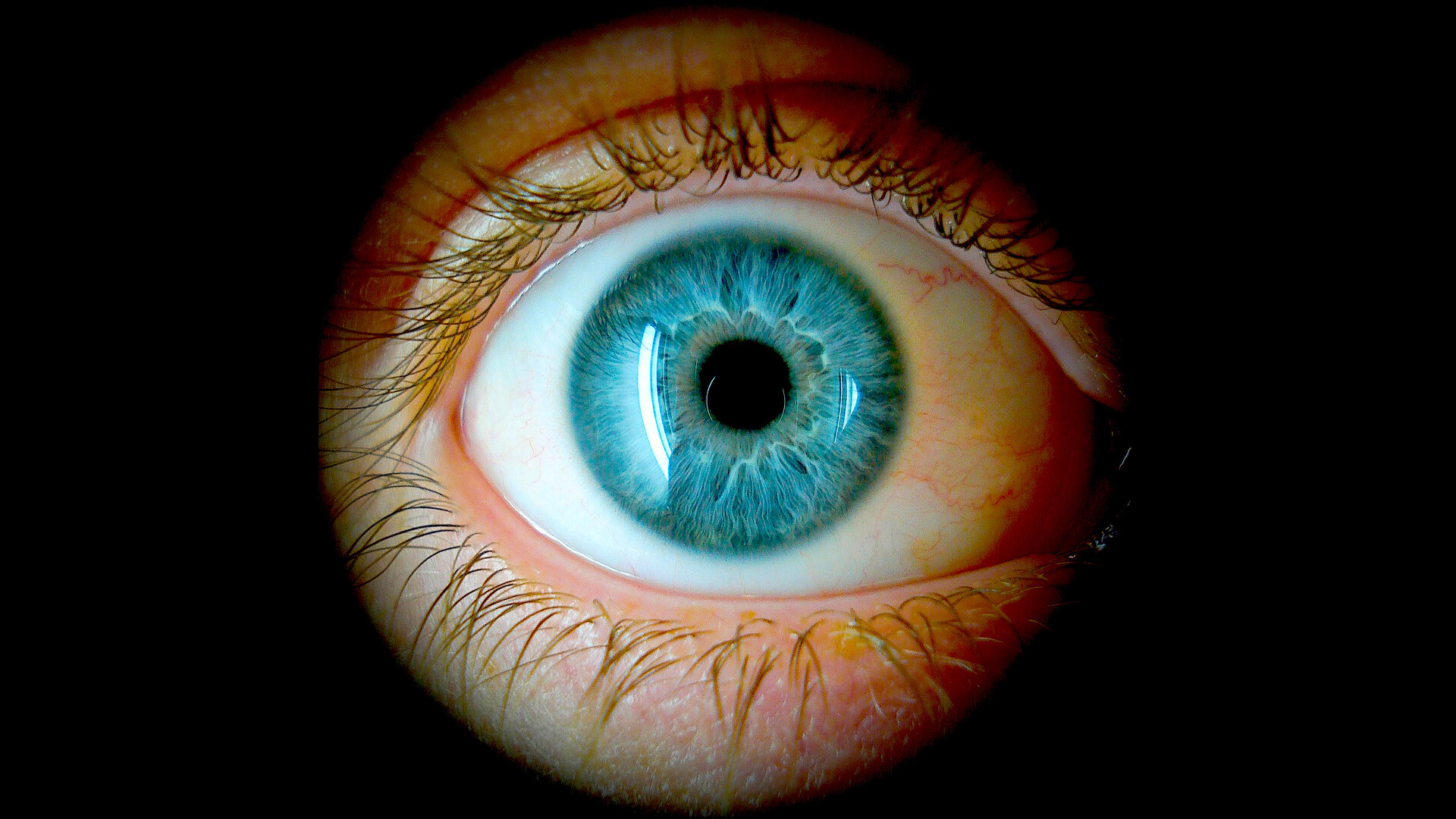 Anatomy Of The Eye StoryMD