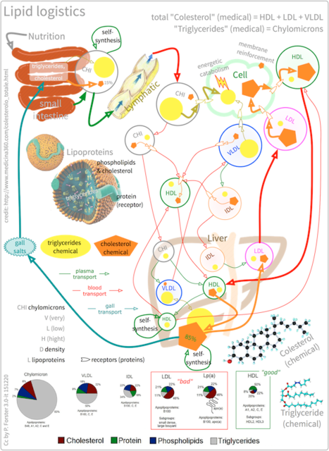 Colesterol Vldl Very Low Density Lipoprotein An Overview