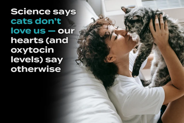 Oxytocin Quotes