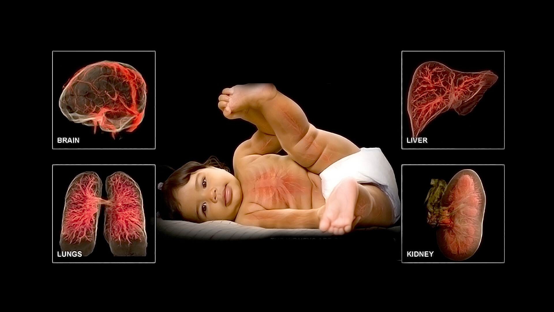 Infancy/Toddler - StoryMD