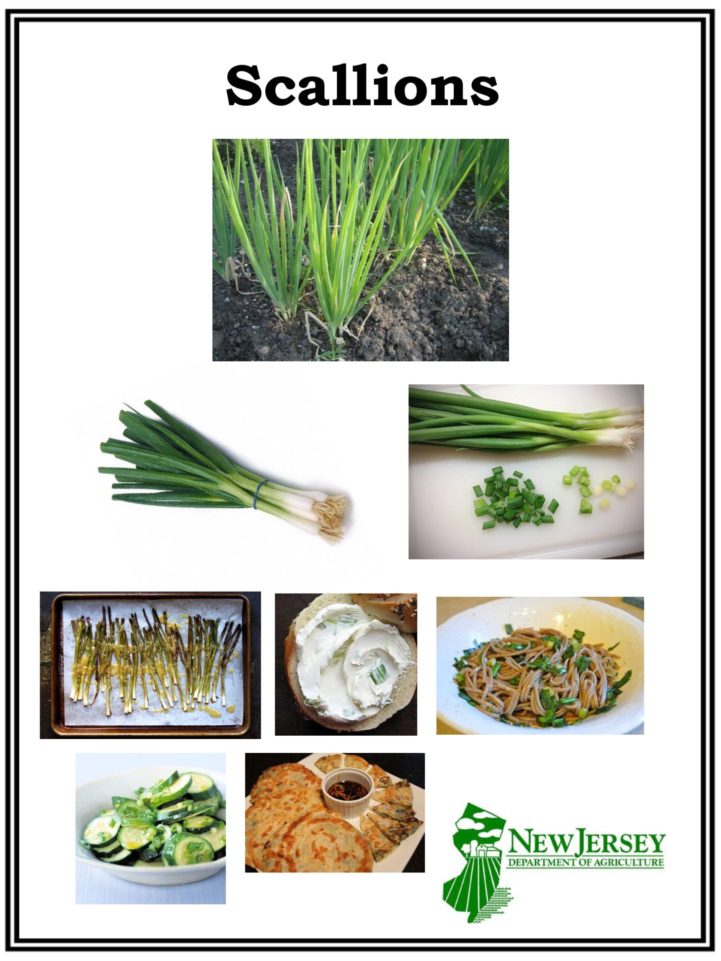 Scallions Vs Green Onions Vs Chives