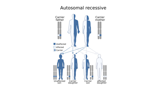 Autosomal Recessive Inheritance