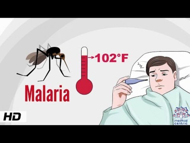What Is Malaria Causes Signs And Symptoms Diagnosis And Malaria