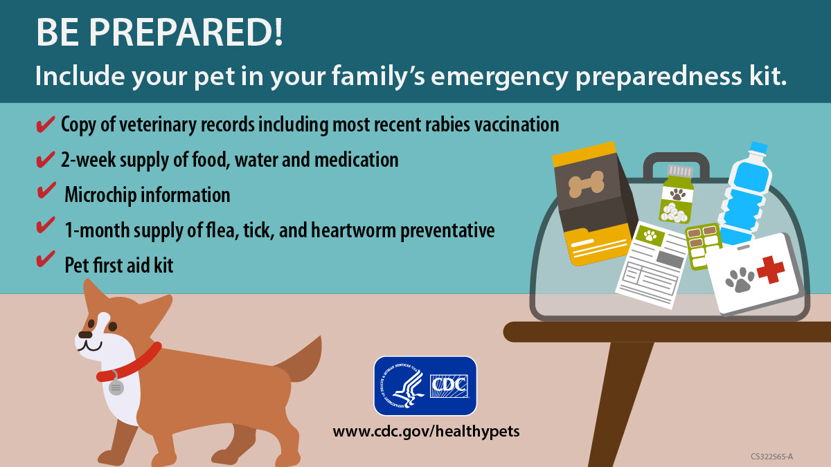 Emergency Preparedness For Pets Emergency Preparedness For Your Pet
