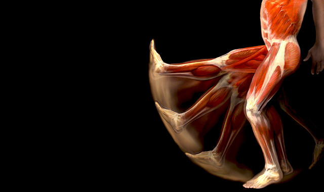 Unlocking Your Full Potential Mobility S Essential Role In Fitness