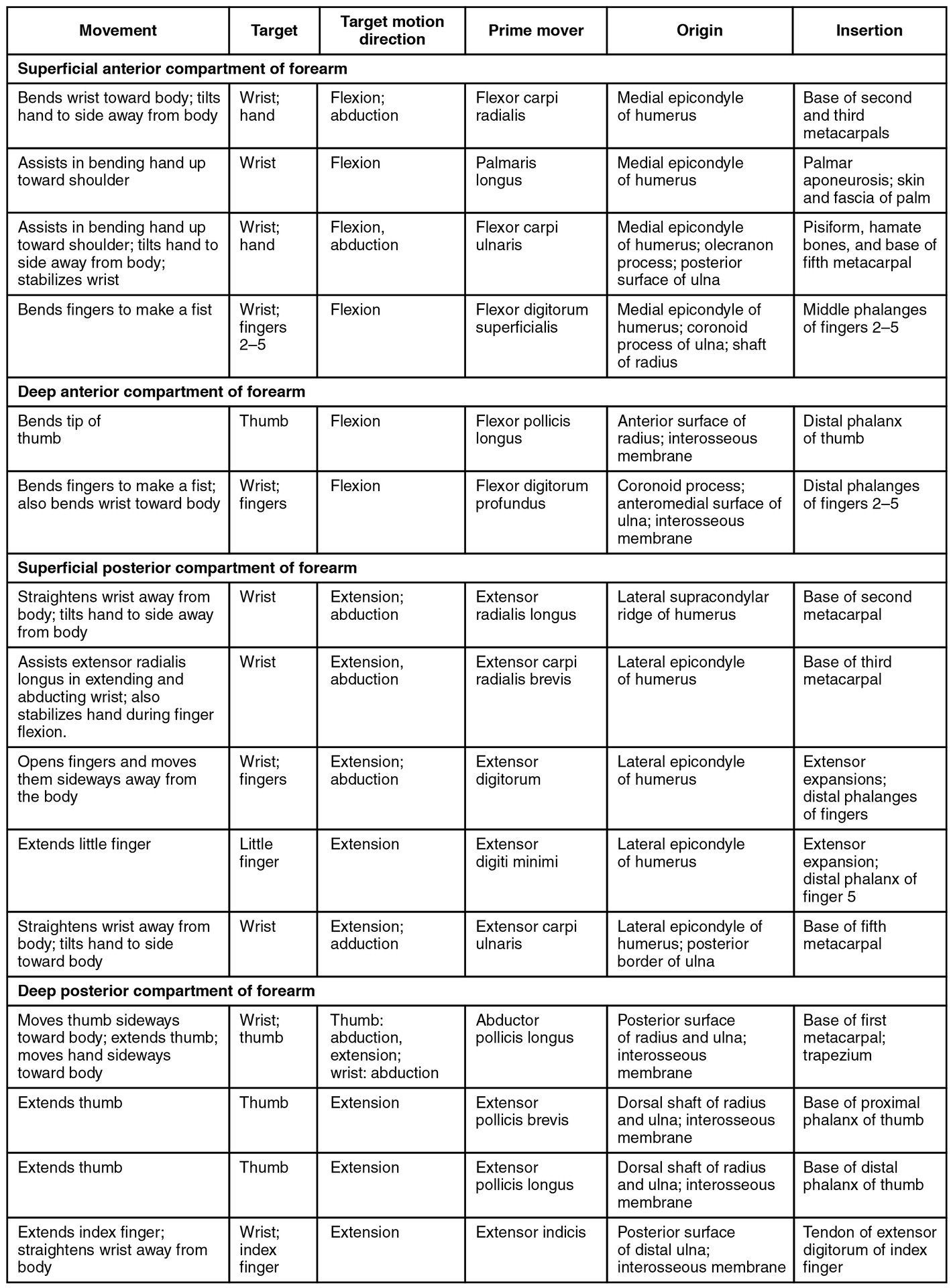 Intrinsic Muscles Of The Hand Function