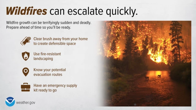 Wildfire Safety Quotes