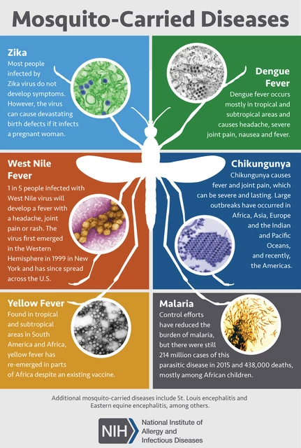 Tropical Disease Symptoms Differential Diagnosis Of Infectious