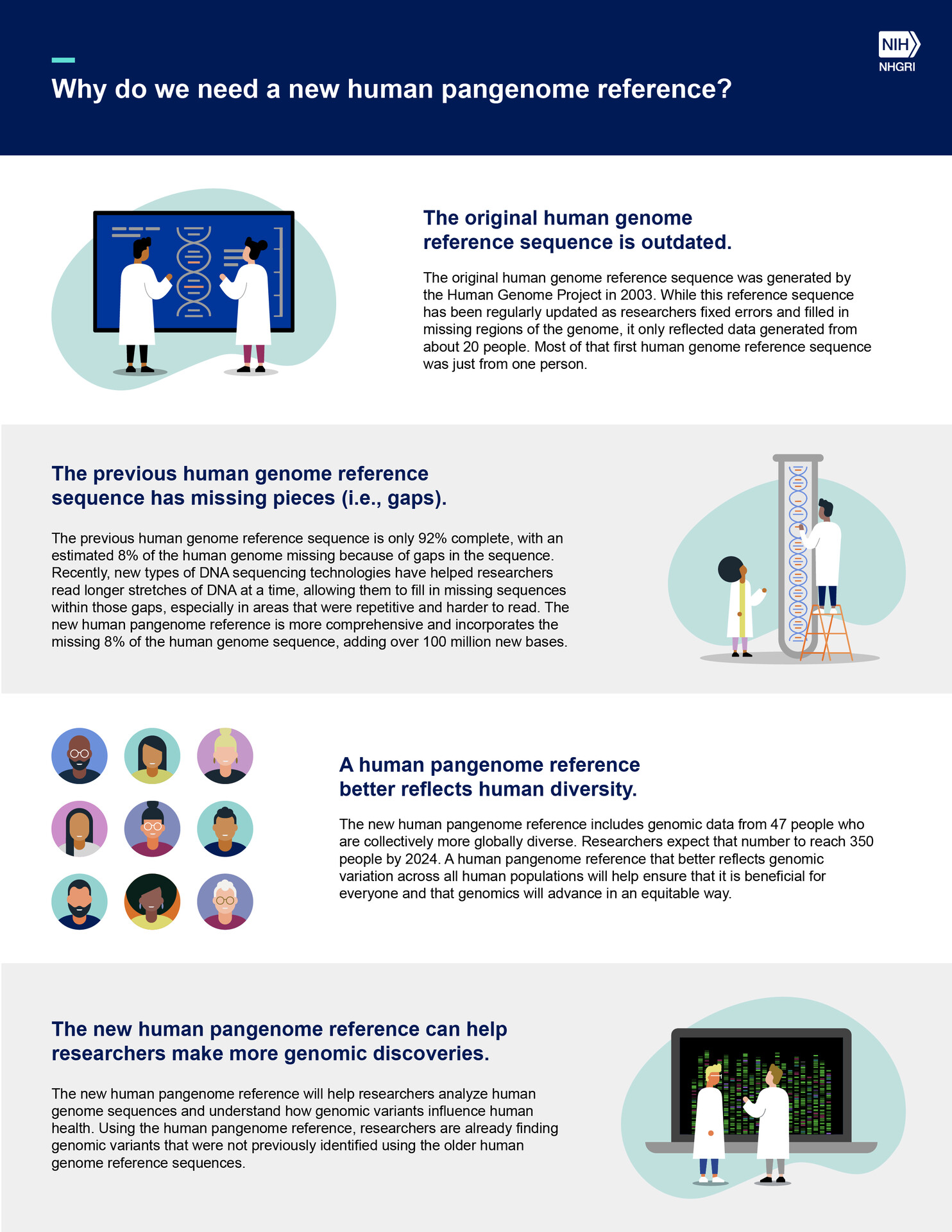 Variation In Humans Homo Wikipedia