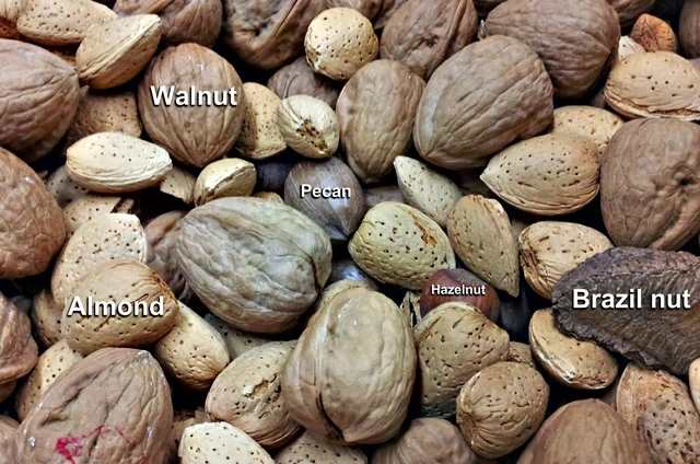 Types Of Nut List