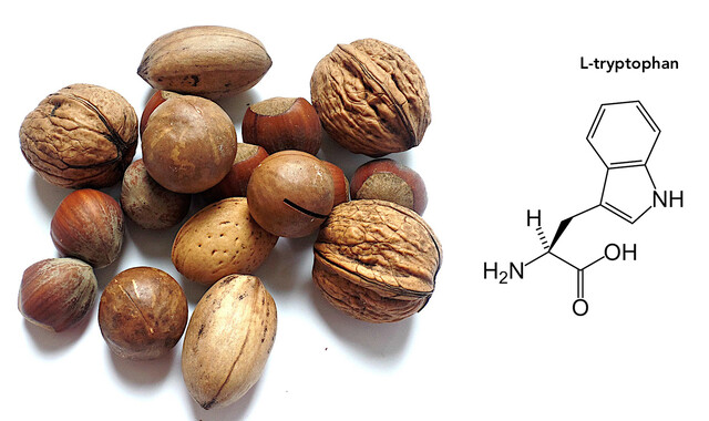 Tryptophan Test: Why Is It Done and What the Results Mean - StoryMD