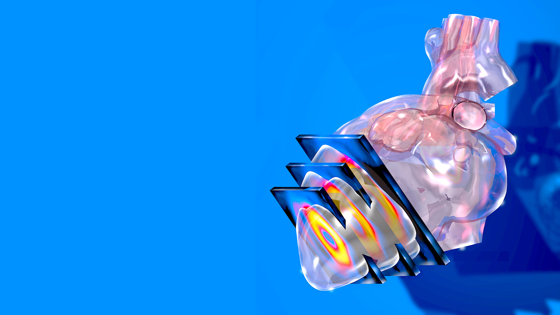 Nuclear Heart Scan: Why Is It Done and What the Results Mean - StoryMD