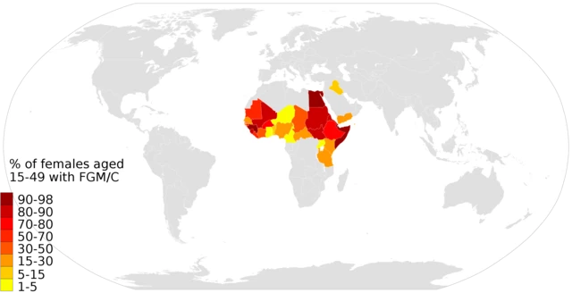 Female Genital Mutilation Map