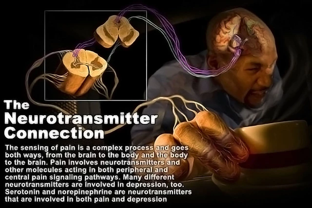 Neurotransmitters In Depression