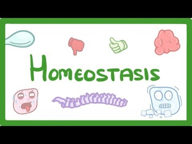 Homeostasis Biology For Kids Homeostasis (article) | Feedback | Khan