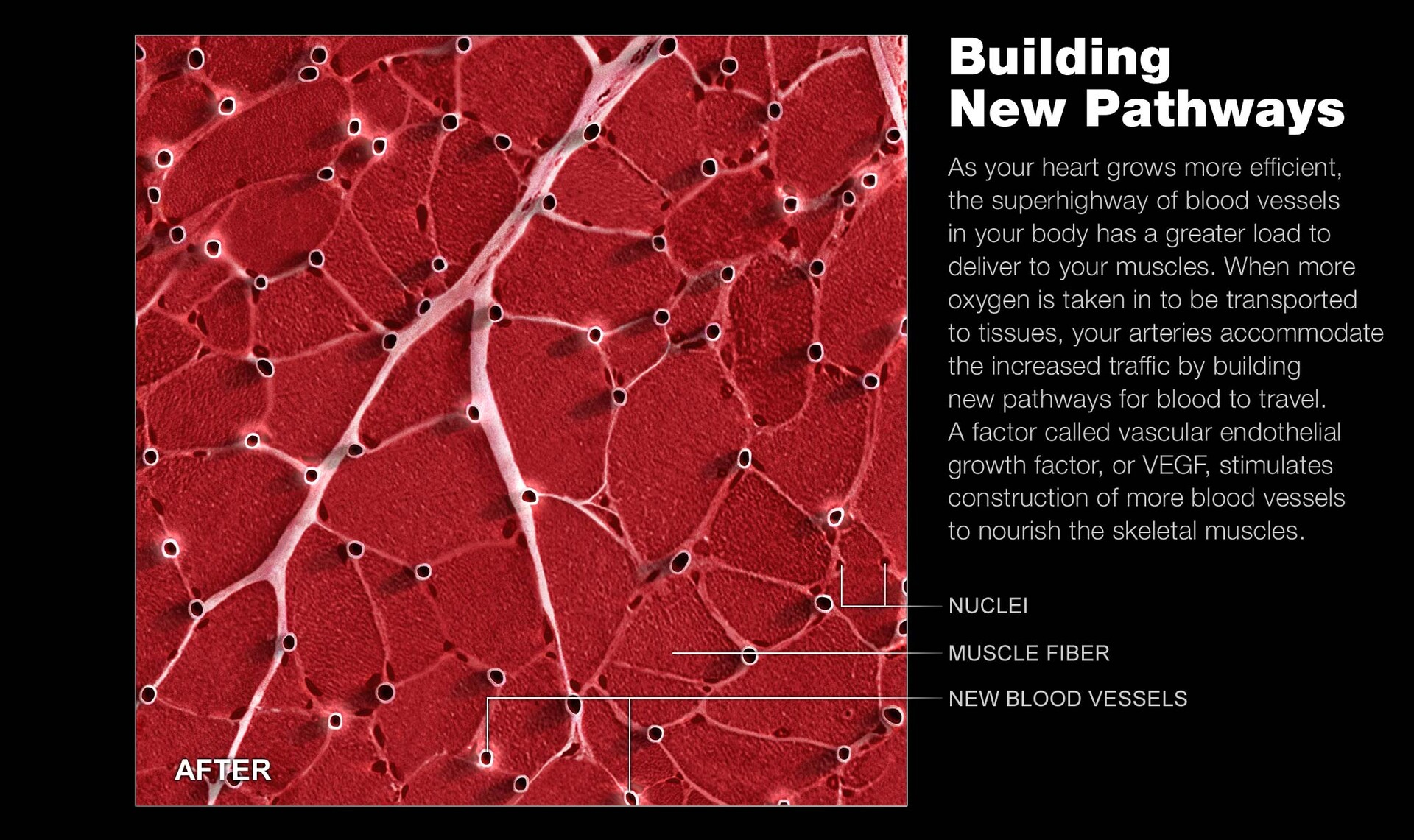 Watchwellcast Digital Wellbeing John The Baptist Community School