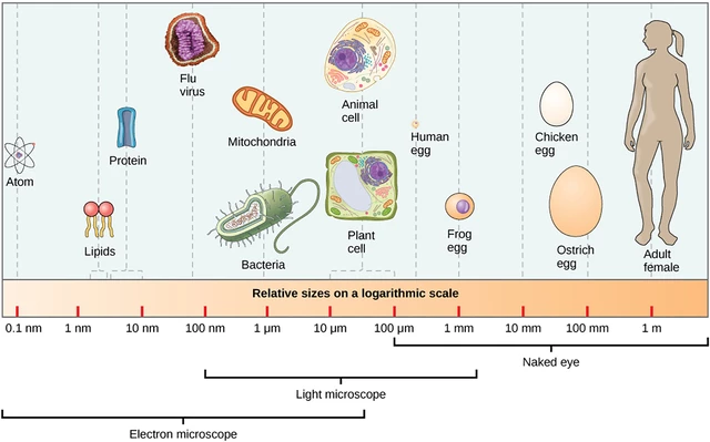 Nanometers To Micrometers Multi Scale Computation Methods: Their