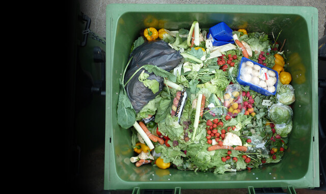 From the Economy to Chronic Diseases, Food Waste is Bad for Everyone ...
