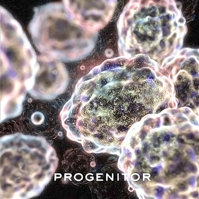 Nerve Tissue Seer Training Introduction To The Human Body StoryMD