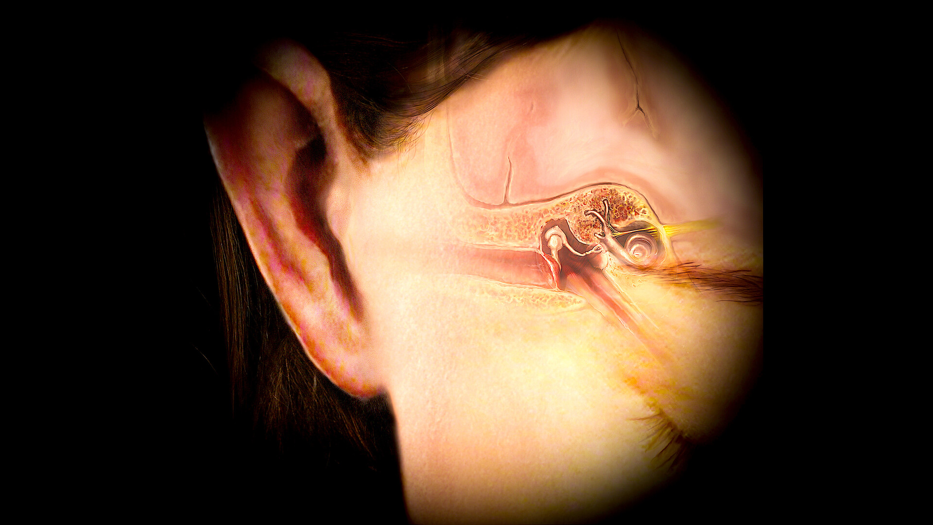Ear, Nose and Throat - StoryMD Ear, Nose and Throat - StoryMD