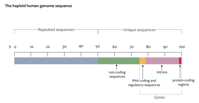 Human Genome Project Timeline History Of DNA Sequencing Technologies