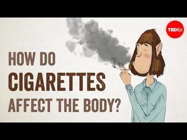 How Smoking Affects The Body How Does Cigarette Smoking Affects The