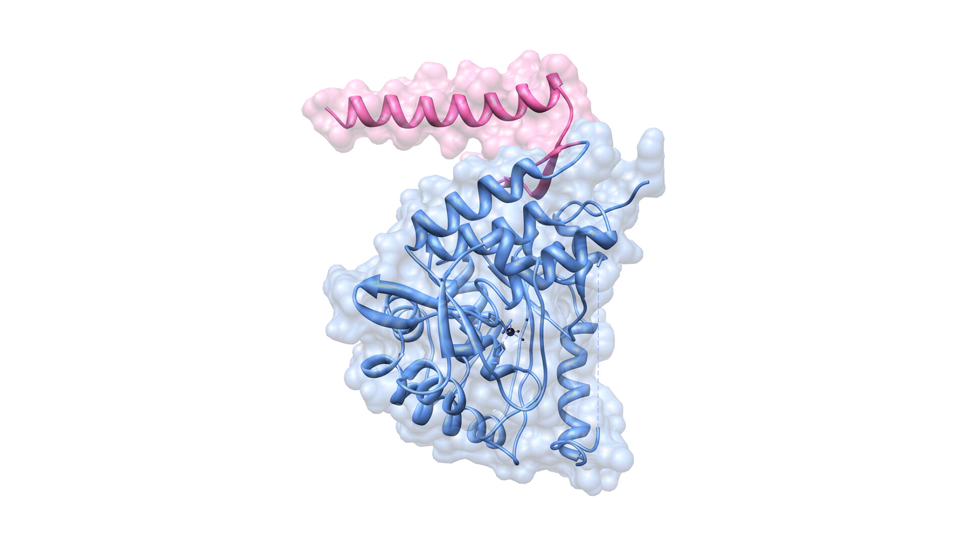 Tyrosine Hydroxylase Structure Biochemistry Glossary: Amino Acids: