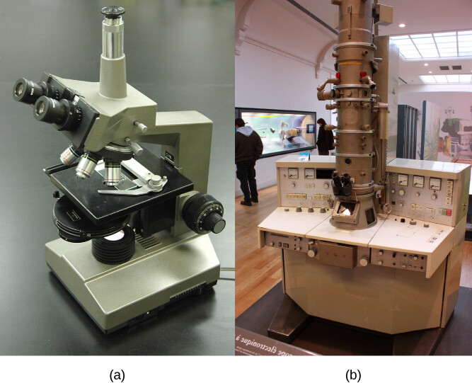 What Is An Electron Microscope Gcse