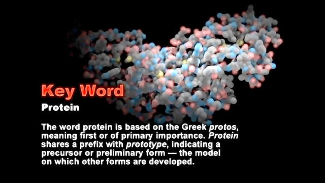 Protein Definition