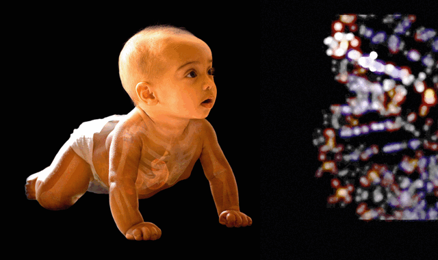 Crawling Baby Gifs Crawling Graphics And Animated Gifs