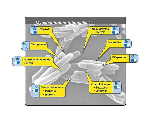 Tuberculosis Transmission Mycobacterium Tuberculosis: Body's Response