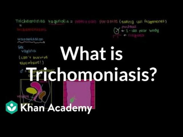 Trichomoniasis In Pregnancy Expedited Partner Therapy (EPT) For
